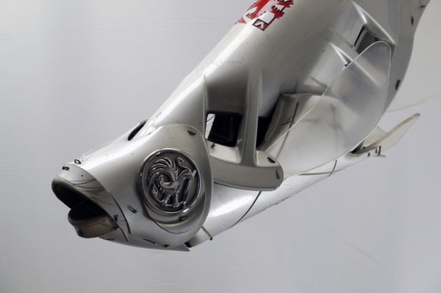 Swordtail Characin - Hubcap Creatures