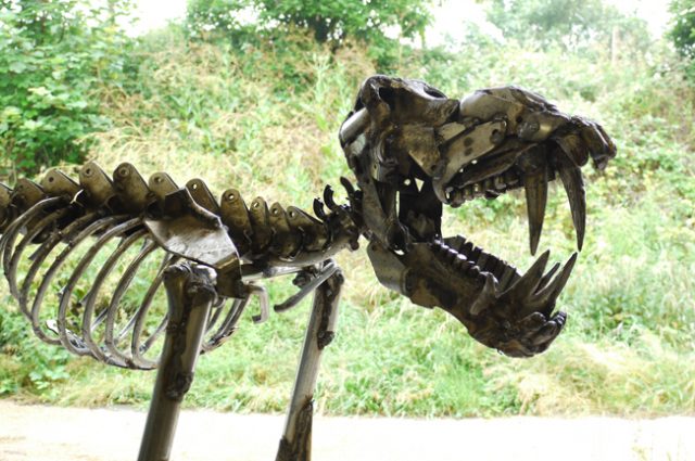 Baboon Skeleton - Hubcap Creatures